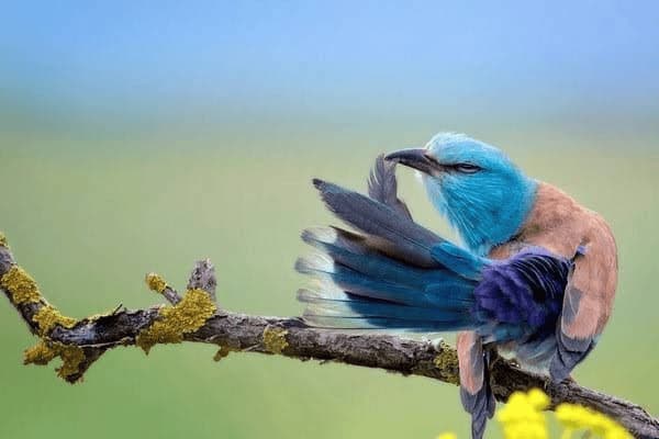 sharp 3d建模，sharp3d建模软件 - 三迪网络