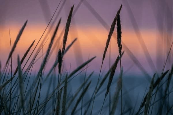 mx110能用3d建模吗，mx110能玩 - 三迪网络